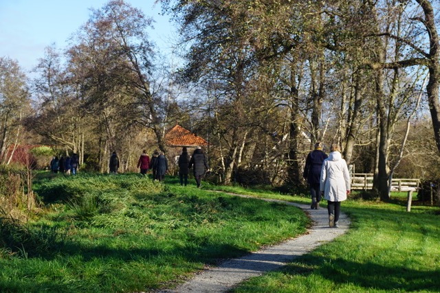 MINDFULNESS TRAINER - opleiding - Academie voor Leven