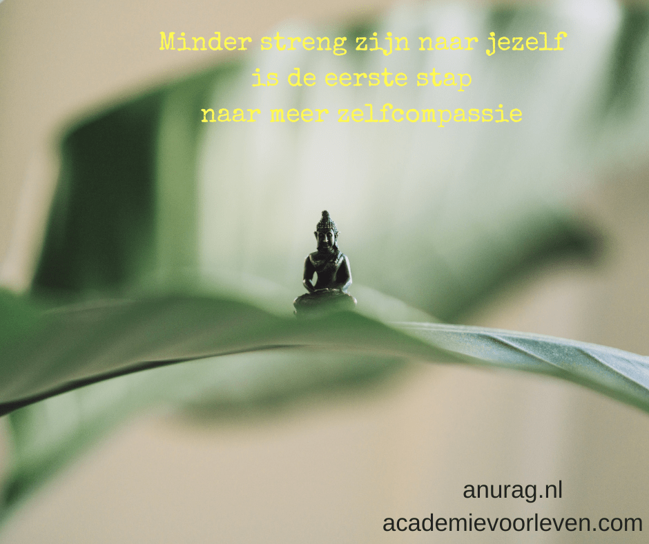 Holistisch coachen met systemische benadering - Academie voor leven